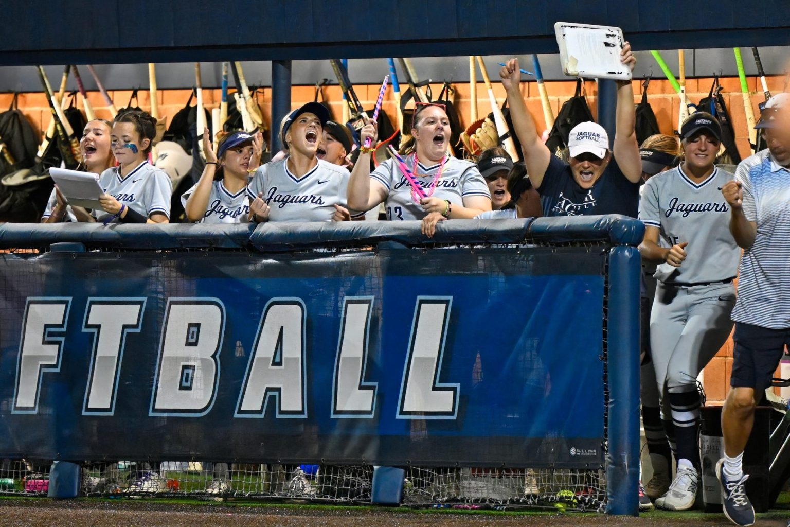 Softball/Baseball Playoffs: Guyer punches ticket for semifinal, Jags ...